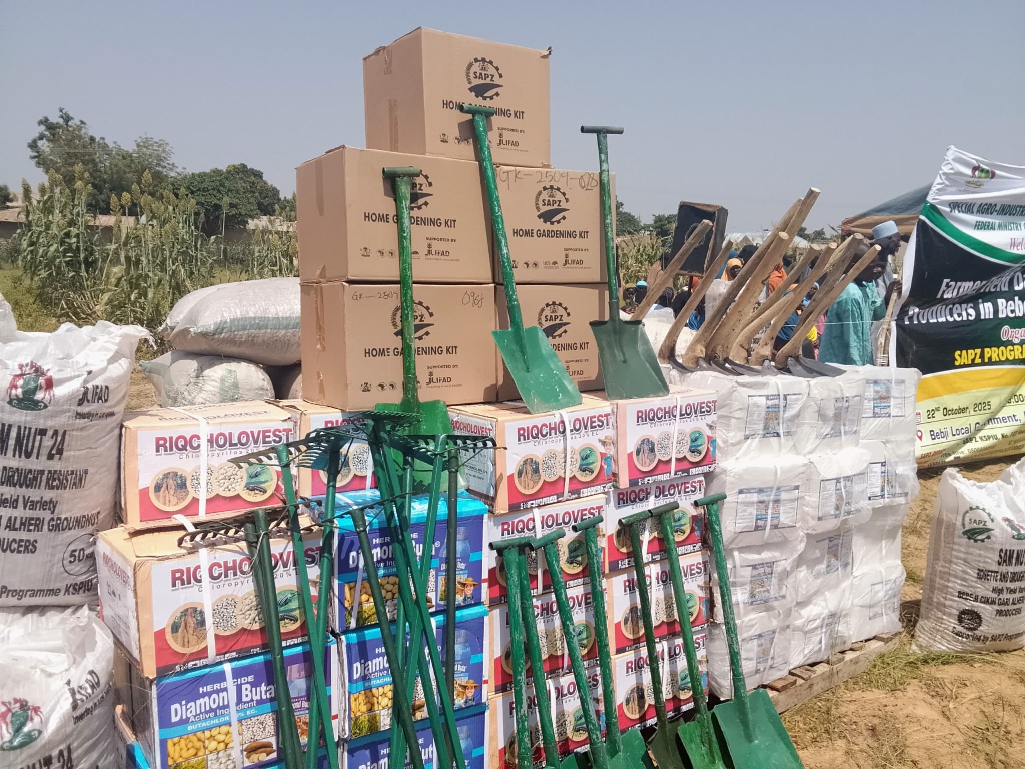 Kano Farmers Record 100% Yield Increase Through SAPZ Groundnut ...